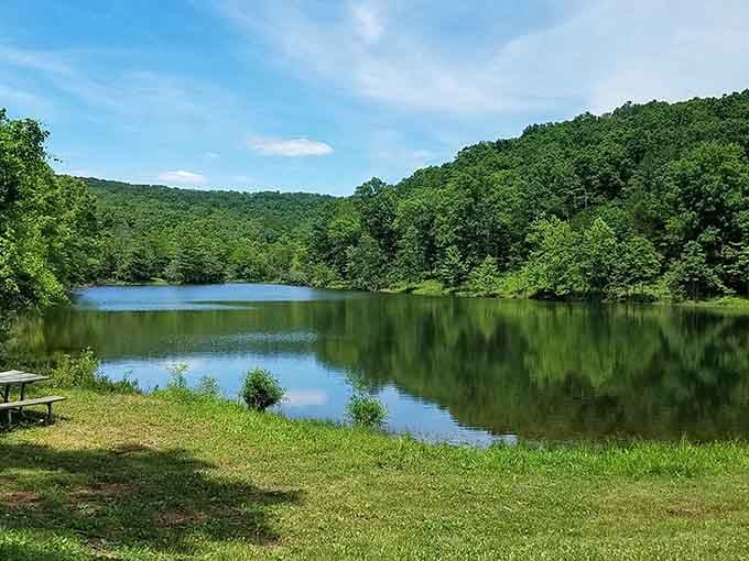 This tranquil lake setting proves Missouri knows how to do natural beauty without showing off.