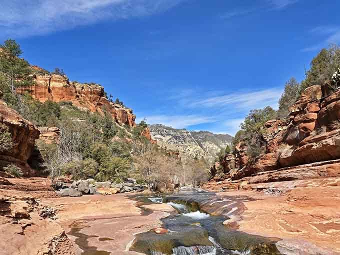 Oak Creek's red canyon walls have been perfecting this view for millions of years, and honestly, they nailed it.