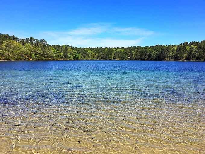 The sandy bottom visible through crystal-clear water proves nature doesn't need filters to look this good.