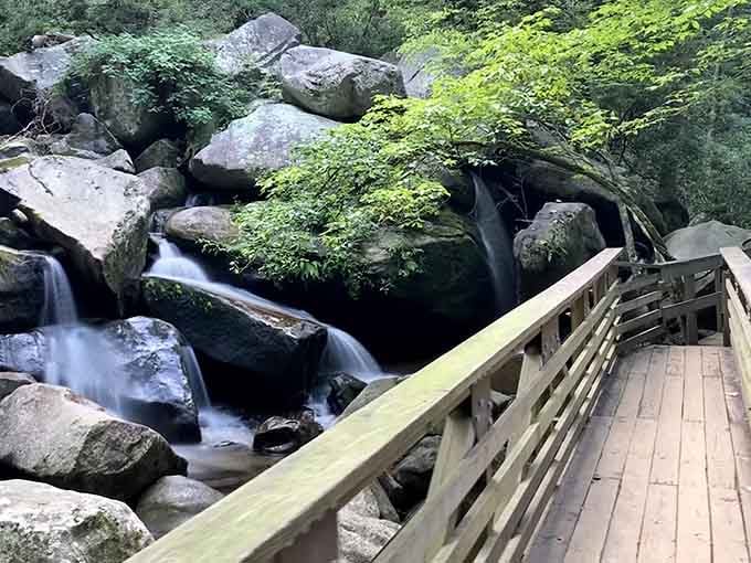 That wooden bridge isn&rsquo;t just functional&mdash;it&rsquo;s your gateway to a quiet waterfall escape worth slowing down for.