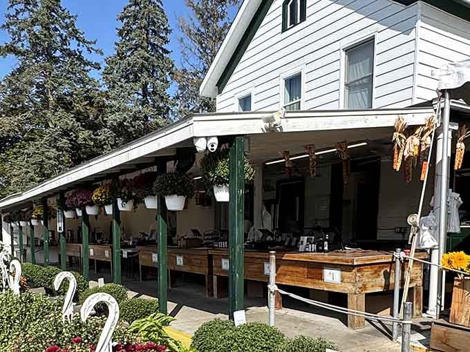 That classic white clapboard exterior isn't just charming &ndash; it's been beckoning pie lovers for generations along Route 25.