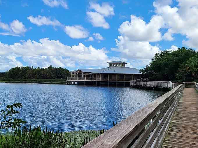 The nature center sits like a modern treehouse over the wetlands, offering shelter and knowledge without disturbing the neighbors below.