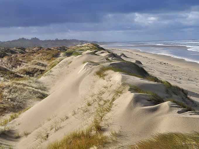 The wind sculpts these ridges like a master artist, creating curves that would make any landscape photographer weak in the knees.