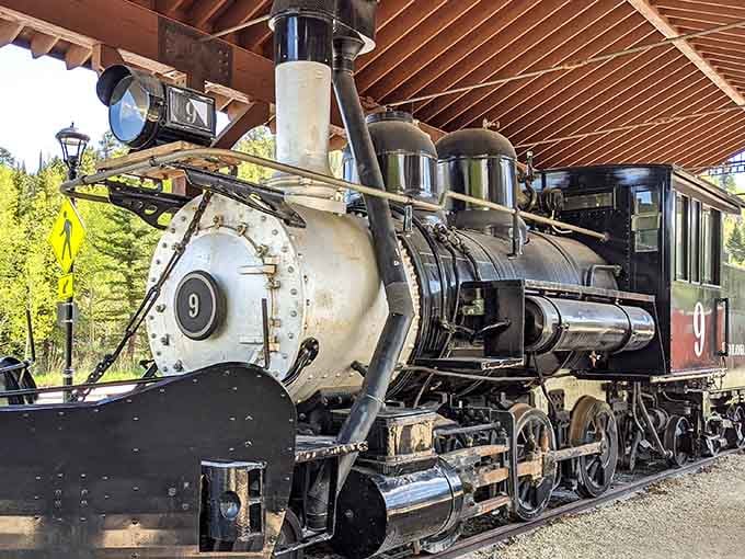 This gleaming locomotive stands ready to transport you back to Colorado's mining glory days, minus the actual soot.