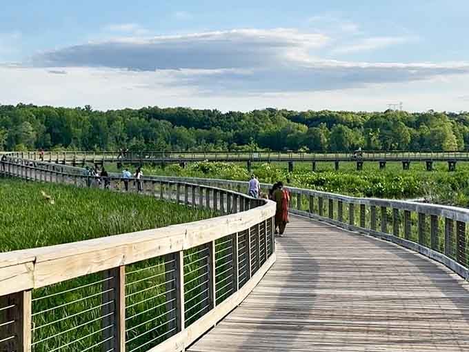 That entrance archway isn't just decorative; it's your portal to wetland wonderland and serious tranquility.