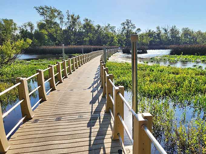 The longest floating boardwalk in America stretches before you like nature's red carpet invitation.