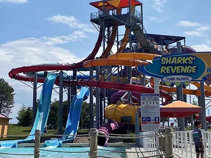 Sharks' Revenge looks like a rainbow decided to become a waterslide and invite all its colorful friends to the party.