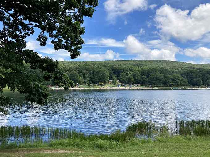 That first glimpse of the lake through the trees hits different when you realize this pristine water is your backyard escape.