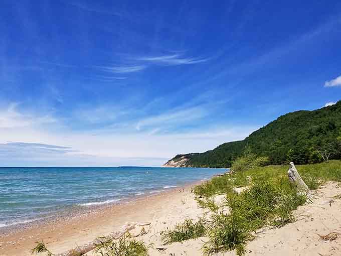 That pristine shoreline stretching toward forested dunes looks like a postcard that forgot to include the crowds.
