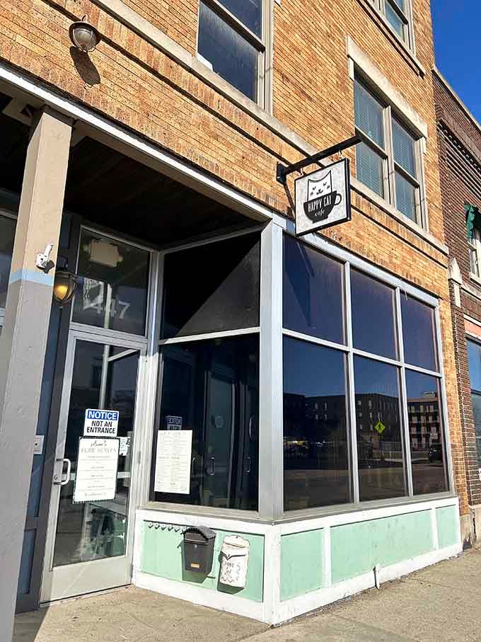 The storefront promises coffee and cats, which is basically the entire internet in brick-and-mortar form.