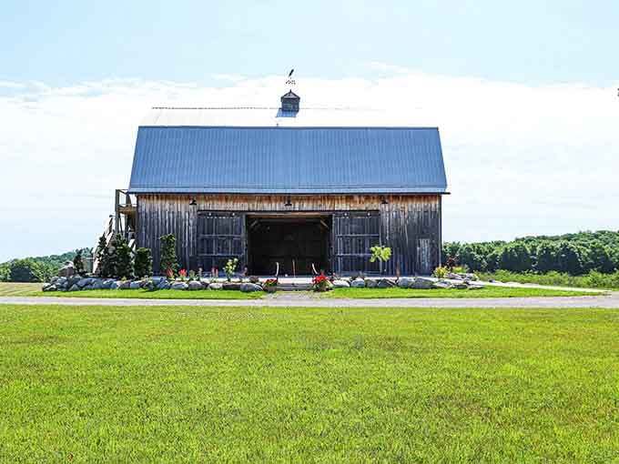 That weathered barn with the blue roof houses some of Michigan's finest wines, proving you can't judge a bottle by its building.