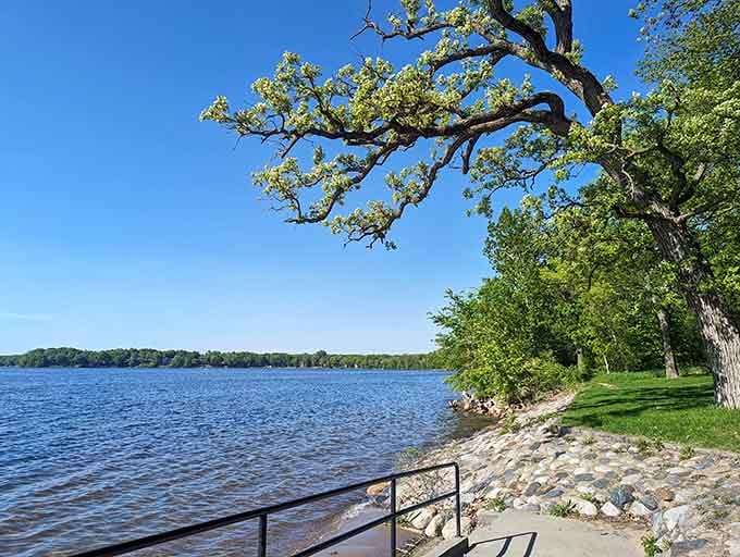Bright green trees frame a sparkling blue lake, offering a perfect, sunny spot to enjoy the fresh lakeside breeze today.