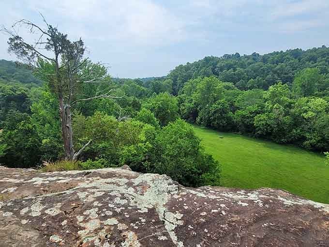 Standing atop the bluffs reveals sweeping valley views that'll make you forget you're in the Prairie State. Absolutely stunning scenery awaits!