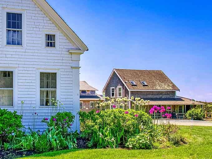 Bright pink flowers bloom beautifully against the backdrop of traditional shingled homes, capturing the serene and colorful essence of summer.