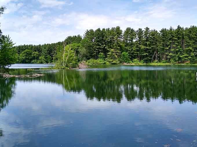 When the lake mirrors the sky this perfectly, you've officially entered the relaxation zone.