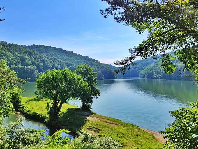 This is what happens when mountains, water, and lush greenery decide to collaborate on a masterpiece together.