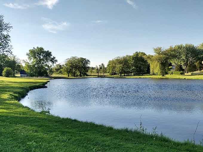 Green grass, blue water, and trees that have seen generations of picnics, pure Wisconsin perfection right here.