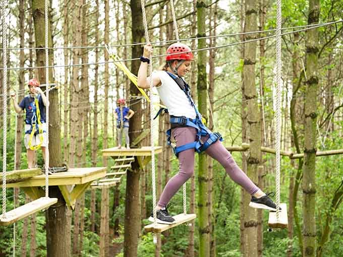 Navigating wooden platforms high in the canopy, where every step feels like defying gravity with style.
