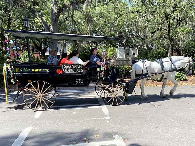 Step aboard for a journey where the only traffic jam involves politely waiting for another carriage to pass.