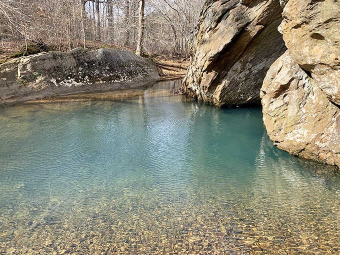 When the water glows this shade of turquoise in Illinois, you know you've found something special worth protecting.