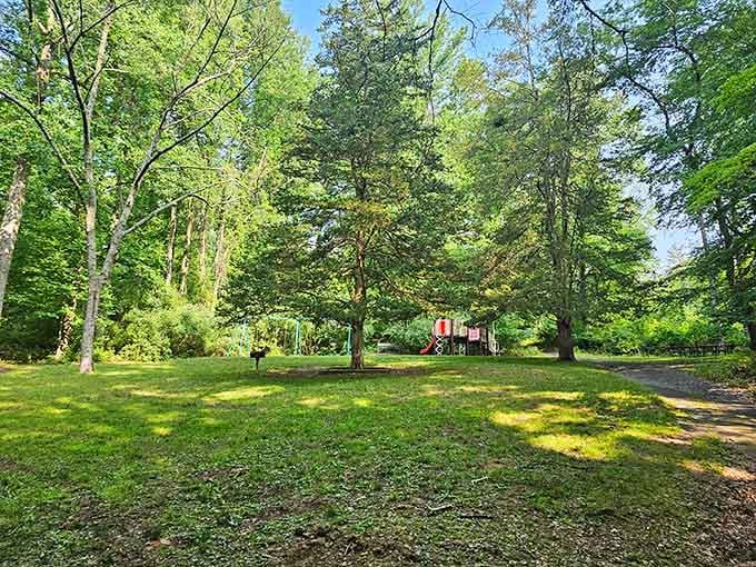 Nature's own amphitheater, where the only performance you need is sunlight filtering through leaves and pure oxygen.