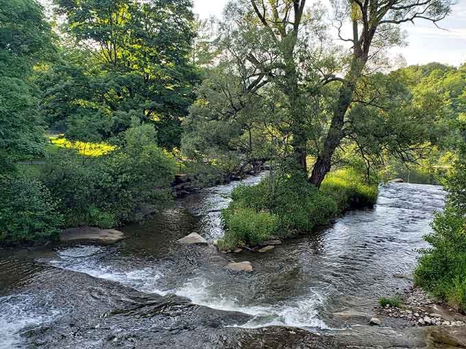 Summer brings lush greenery to the park, creating a peaceful oasis where the gentle creek flows through the tranquil landscape.