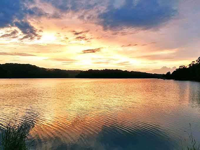 When the sky decides to show off its reflection game, Lake Logan becomes nature's perfect mirror.