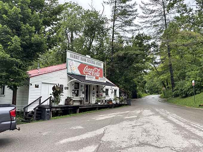 The road less traveled leads to the best stories, and this one's got a dog mayor waiting.