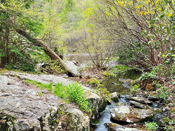 Mountain streams like this one dance through the rocks, providing the soundtrack to your wilderness adventure.