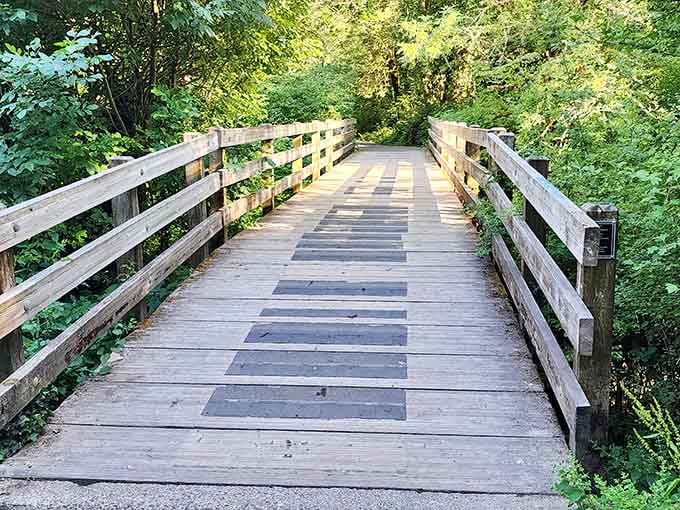 This charming wooden bridge invites you into the forest like a scene from a classic storybook adventure.