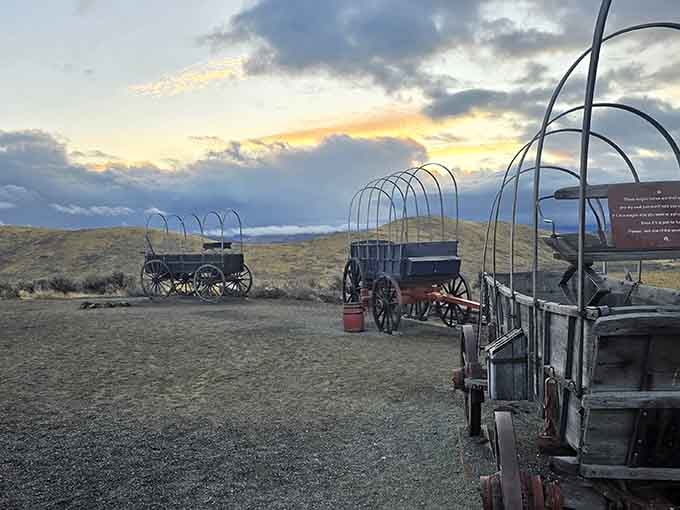Sunset behind authentic wagon replicas creates Instagram gold that pioneers would've traded hardtack to capture.