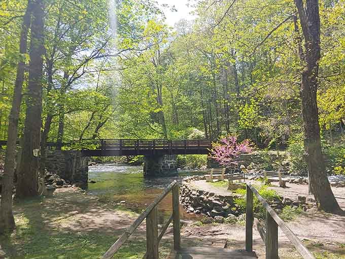 Those winding trails through emerald forests aren't just paths, they're invitations to leave your worries at the trailhead.