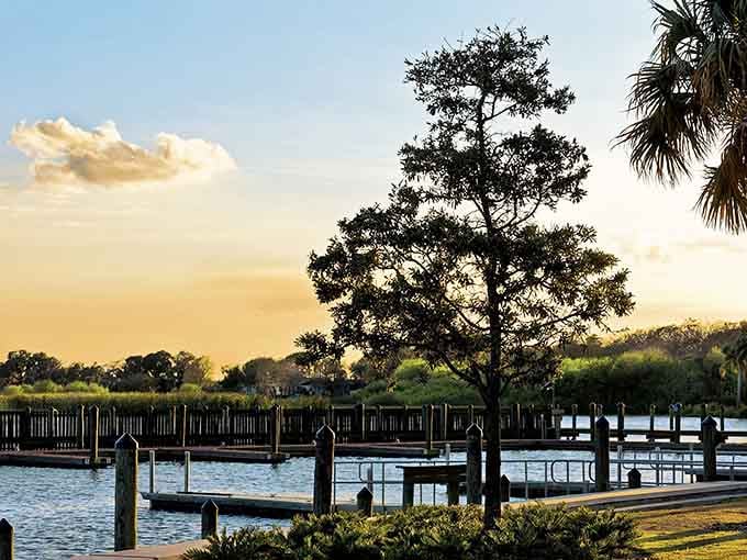 Sunset paints the lakefront in golden hues while that perfectly silhouetted tree steals the show like a seasoned performer.
