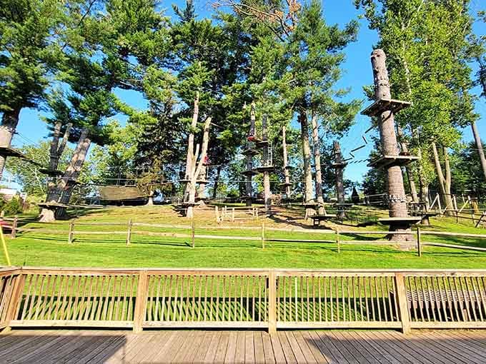 The Treetop Trail offers an elevated adventure through the canopy, giving you unique views of the zoo's exhibits from above.