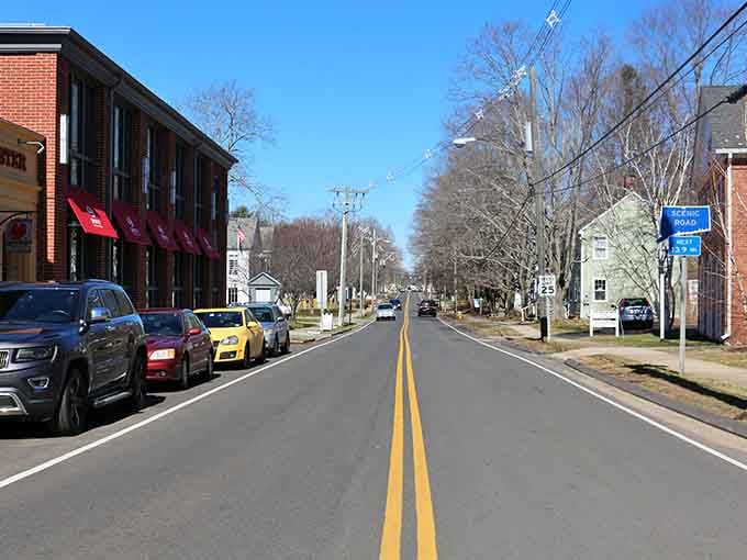 Tree-lined streets that look like they were designed specifically to lower your blood pressure by twenty points.