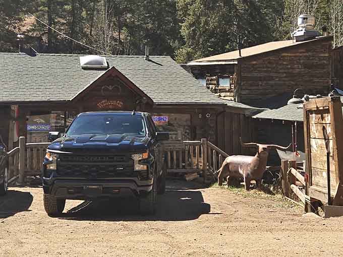 When the local wildlife casually strolls past your truck, you know you've found a saloon that's genuinely off the beaten path.