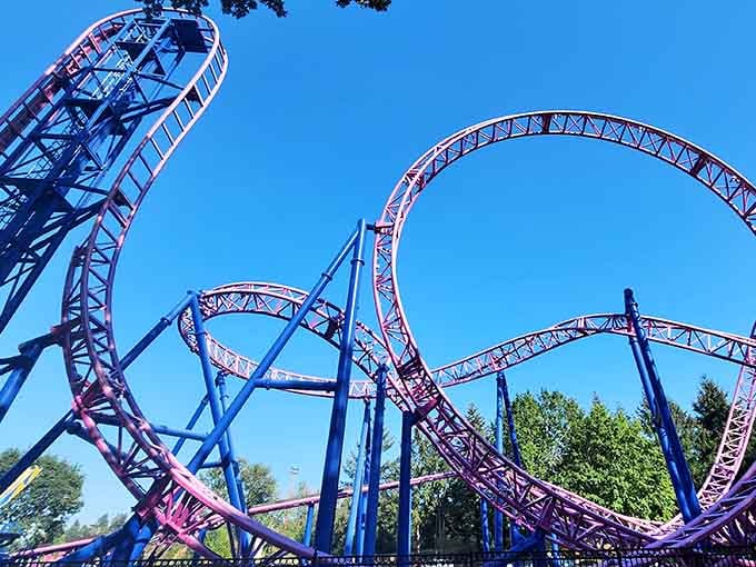 Classic amusement park rides spinning against blue skies and towering trees, just like summer should look.