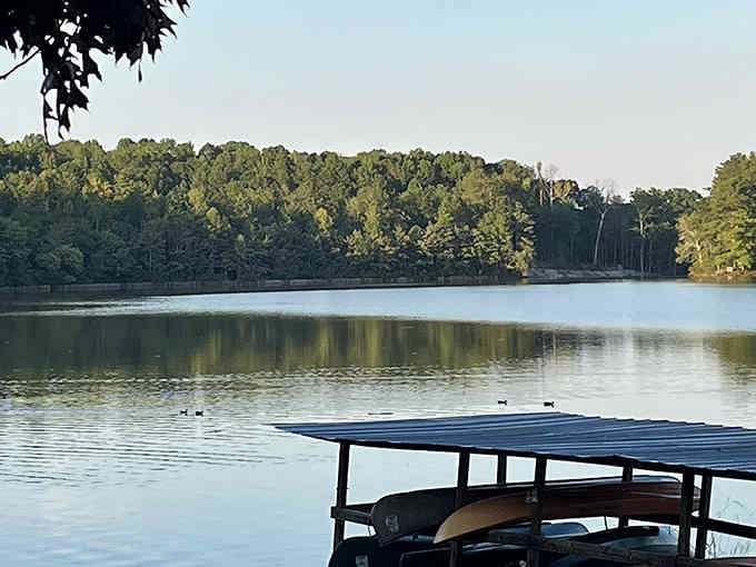 Calm waters with trees while fall colors explode overhead&mdash;nature showing off like it's got something to prove.