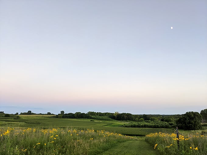 Sometimes the best adventures start with wide open spaces and absolutely nobody telling you what to do.