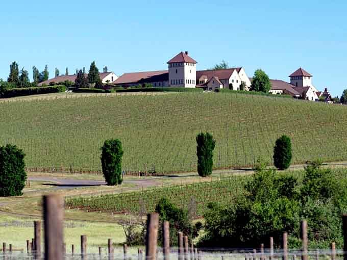Those towers rising above the vines aren't a mirage; this stunning winery really does look like a castle.