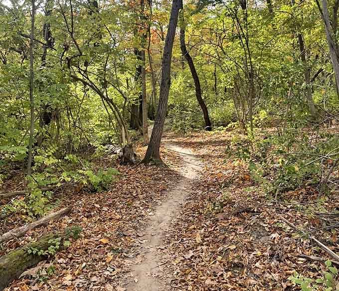 Where the wild things are, and by wild we mean peaceful trails perfect for horseback adventures.