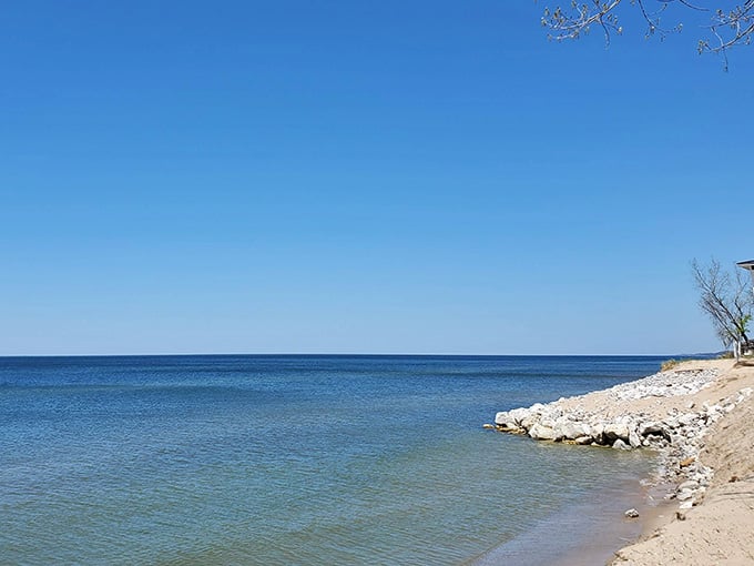 Clear blue skies meet calm Lake Michigan waters at North Beach Park, where soft sand and peaceful shores await your visit today.