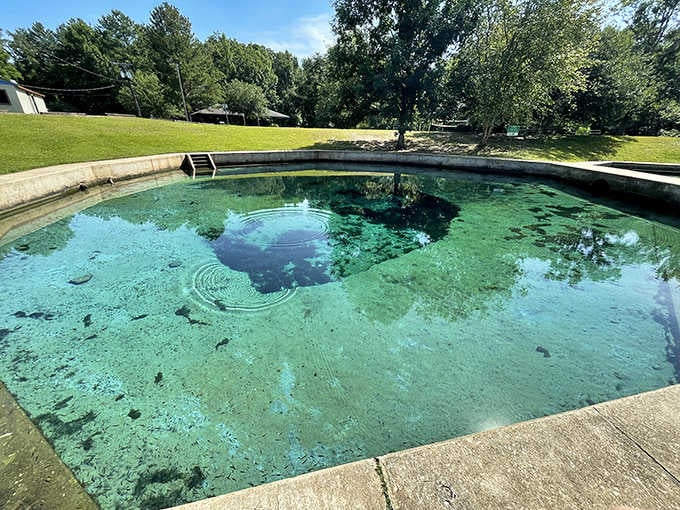 Stand at the edge and watch the spring bubble up from below, nature's own fountain show without tickets.