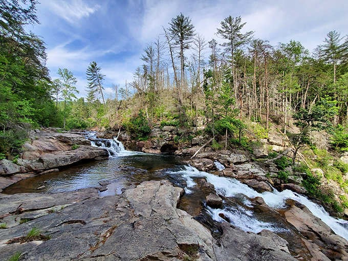 Nature's staircase in full flow, where water dances over ancient rocks like it's been rehearsing forever.