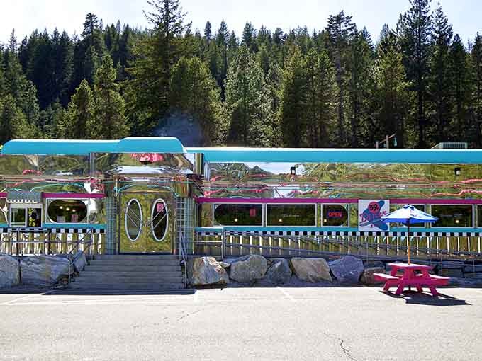 Hot pink and turquoise chrome gleaming against mountain pines proves that sometimes the best surprises come in the brightest packages.