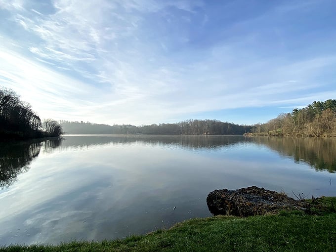 When the sky decides to show off its reflection game, Lake Logan becomes nature's perfect mirror.