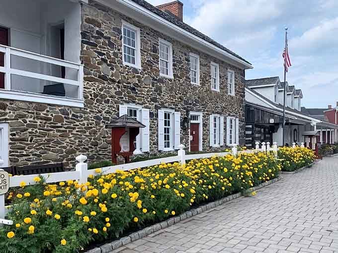 Yellow blooms frame centuries-old stonework like nature's way of saying "welcome to history class, but fun."