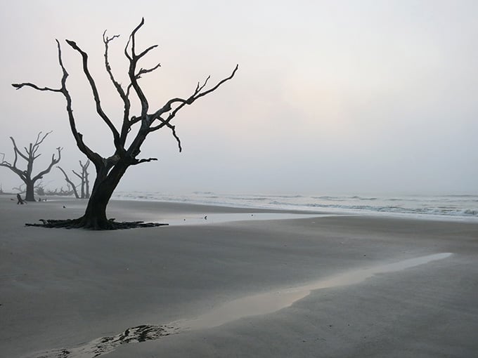 When nature decides to go full gothic artist, this is what happens&mdash;and it's absolutely mesmerizing.