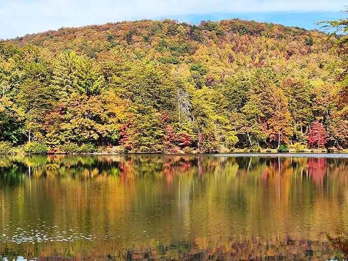 Mother Nature showing off her entire paint collection, reflected perfectly in water that doubles every spectacular color.