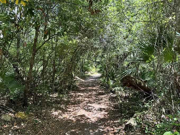 When the trail looks this inviting from the start, you know you're in for something special.